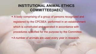 Animal welfare | PPTX | Veterinary Medicine | Pets