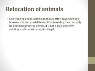 Animal Welfare.pptx