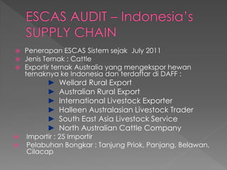 Animal welfare - cattle - in indonesia | PDF