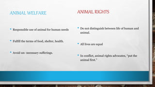 Animal welfare cpscea guidelines for students | PPTX