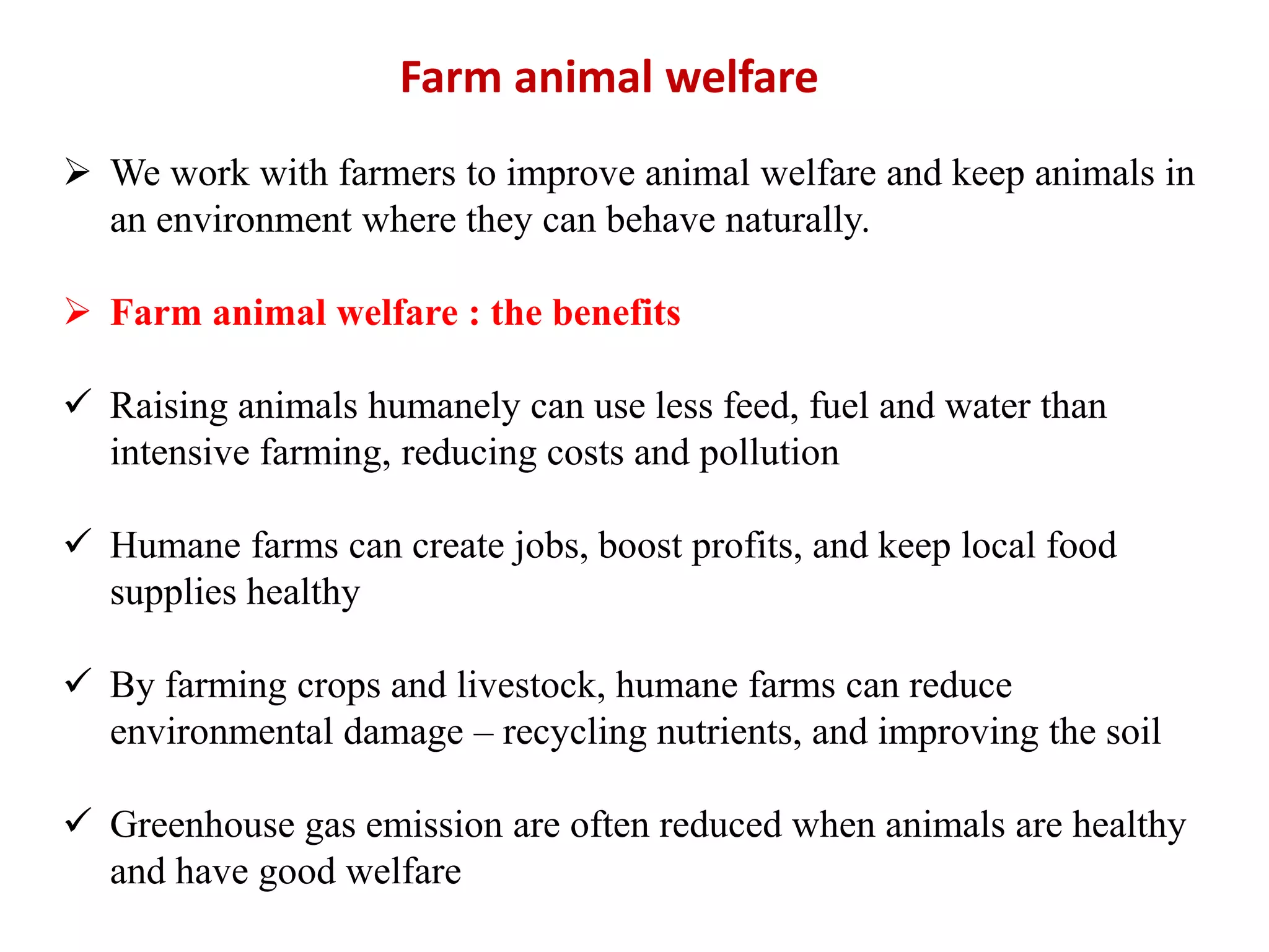 Animal welfare | PPTX