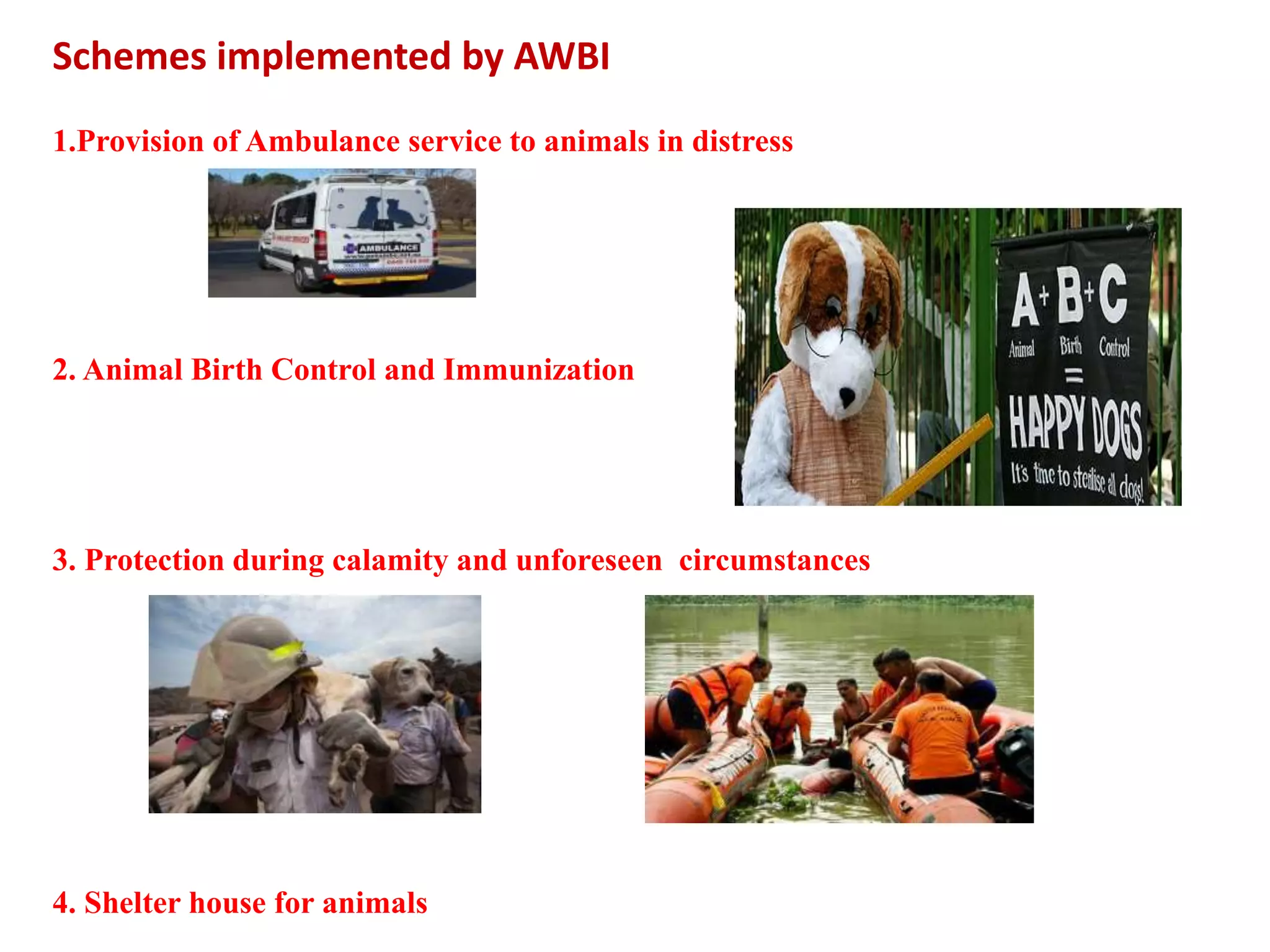 Animal welfare | PPTX