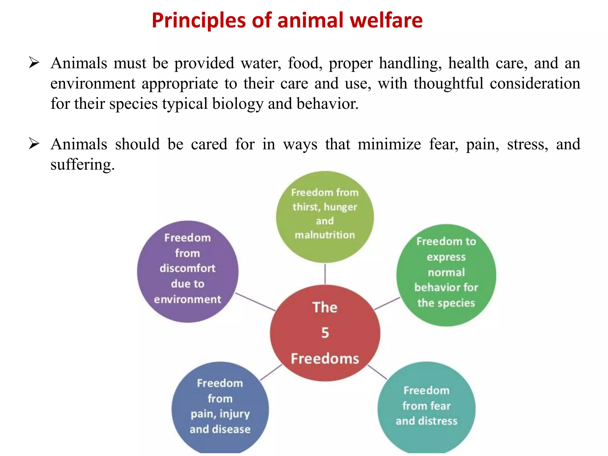 Animal welfare | PPTX