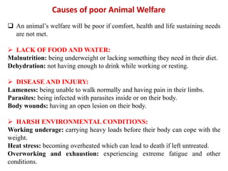 Animal welfare | PPTX