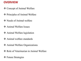 Animal welfare | PPTX