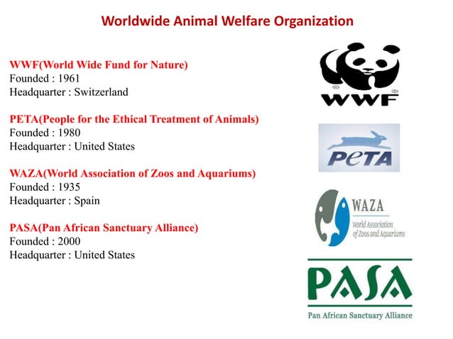 Animal welfare | PPTX | Veterinary Medicine | Pets