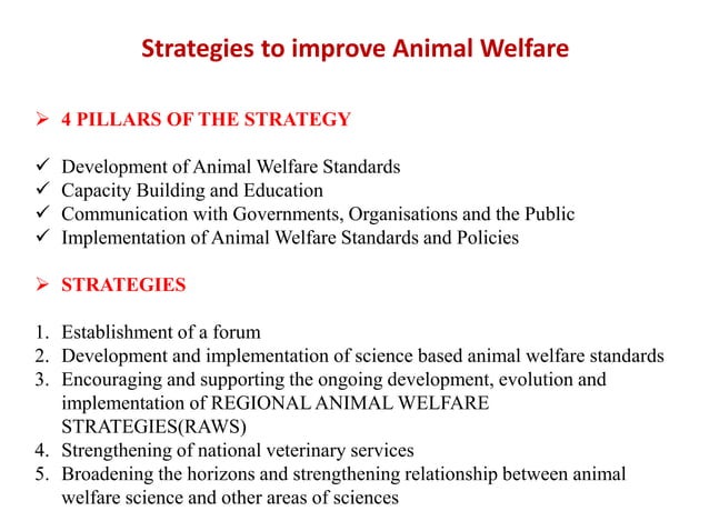 Animal welfare | PPTX | Veterinary Medicine | Pets