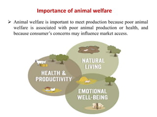Animal welfare | PPTX