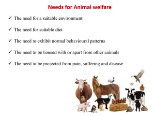 Animal welfare | PPTX