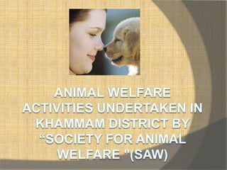 Animal welfare activities undertaken in khammam district by | PPT
