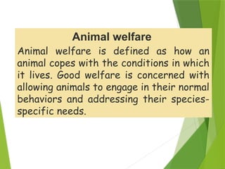 ANIMAL WELFARE AND ETHIC in the Livestock | PPTX