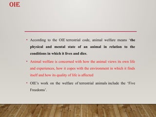 ANIMAL WELFARE AND ETHICS.pptx
