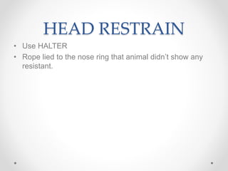 Animal welfare, animal handling & animal restrain | PPT