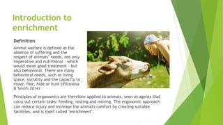Animal welfare in captivity.pptx
