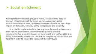 Animal welfare in captivity.pptx