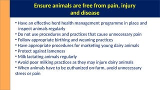 Animal Welfare in Dairy cattle production system.ppt