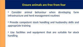 Animal Welfare in Dairy cattle production system.ppt