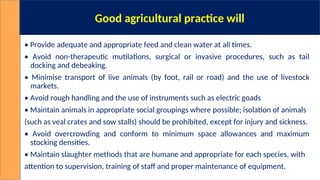 Animal Welfare in Dairy cattle production system.ppt