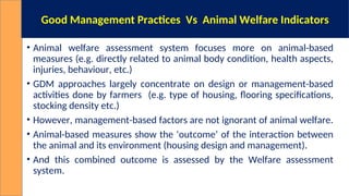 Animal Welfare in Dairy cattle production system.ppt