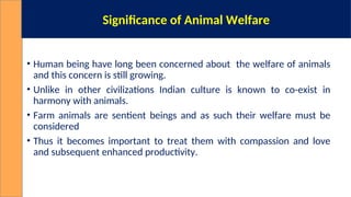 Animal Welfare in Dairy cattle production system.ppt