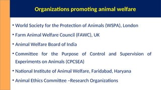 Animal Welfare in Dairy cattle production system.ppt