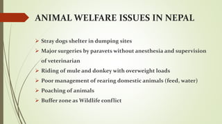 ANIMAL WELFARE ISSUES IN NEPAL.pptx