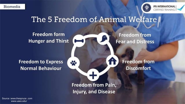 ANIMAL WELFARE ISSUES IN NEPAL.pptx | Agriculture | Industries