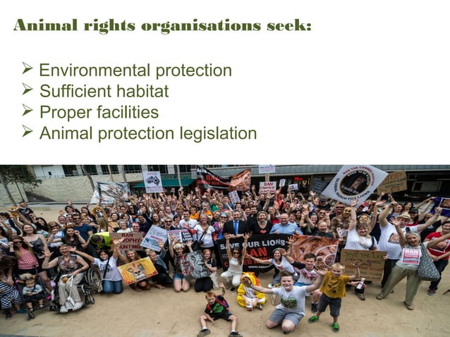 Animal Welfare Organisations | PPT
