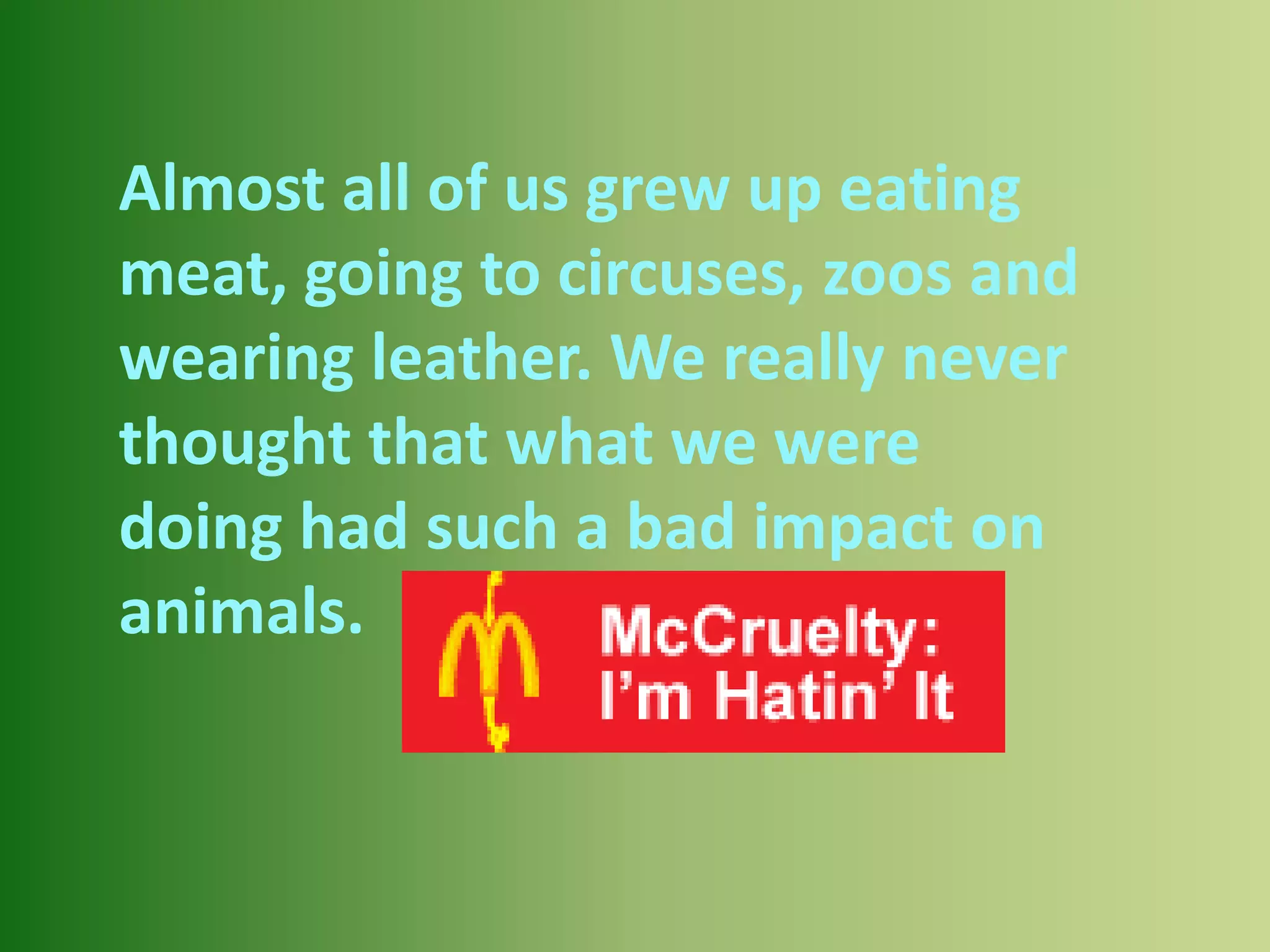 Animal welfare presentation ashley ripplinger | PPTX