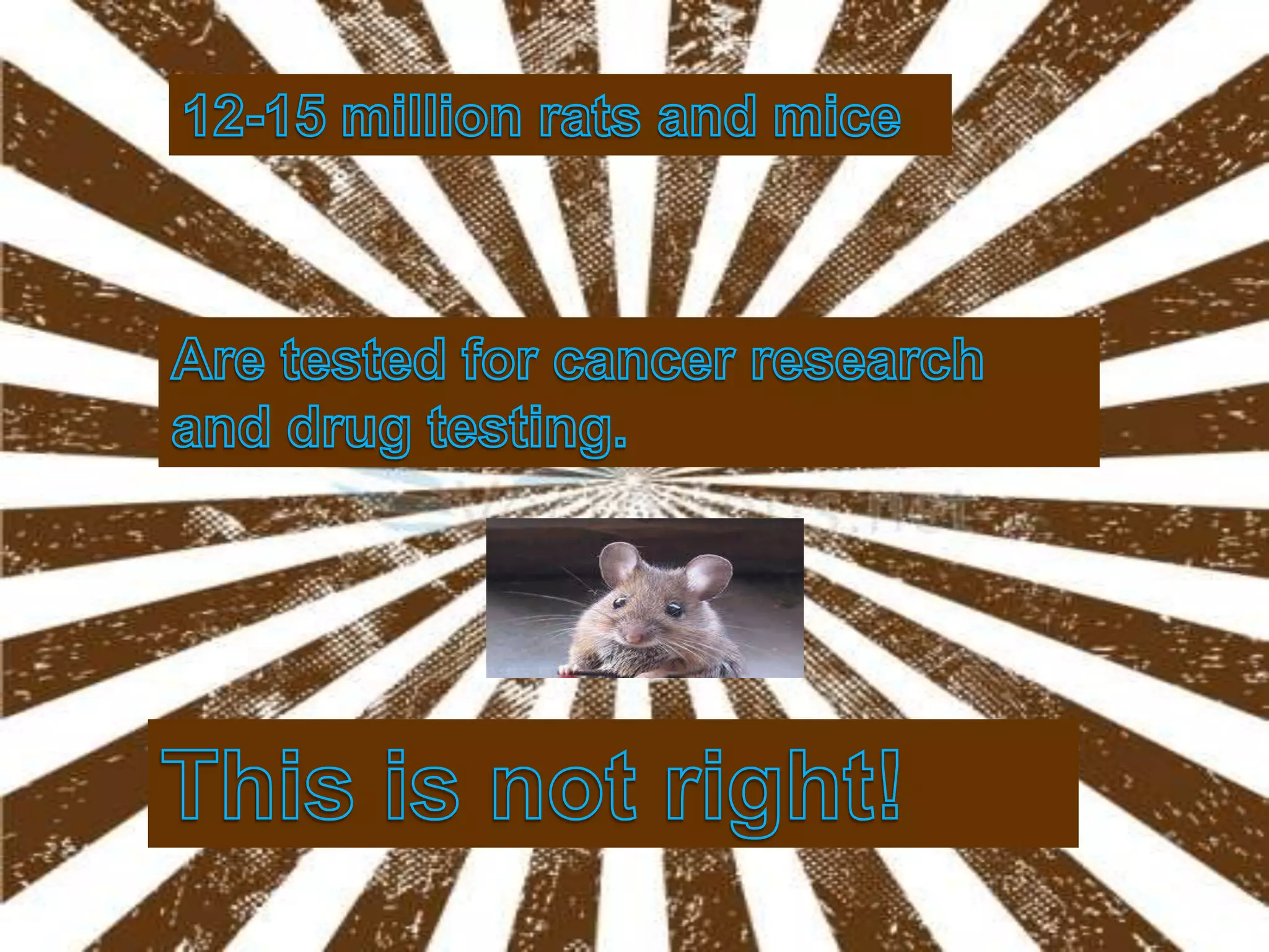 Animal welfare presentation ashley ripplinger | PPTX