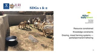 Animal welfare and the Sustainable Development Goals | PDF