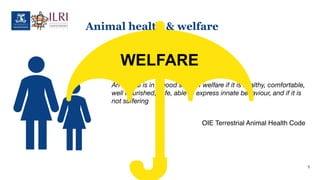 Animal welfare and the Sustainable Development Goals | PDF