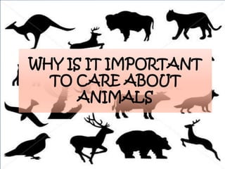 Animal welfare | PPTX | Veterinary Medicine | Pets