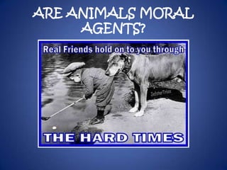Animal welfare | PPTX