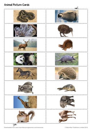 Animal world map_activities | PDF