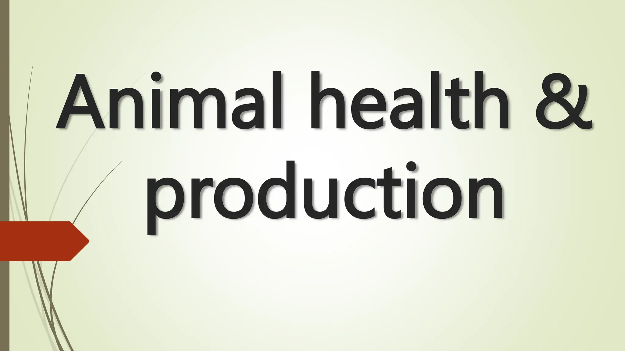 The health of Animals and its Production.pptx