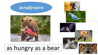 Animasl idioms- as as | PPT