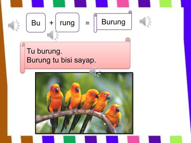 Animasyen.kja kus | PPT