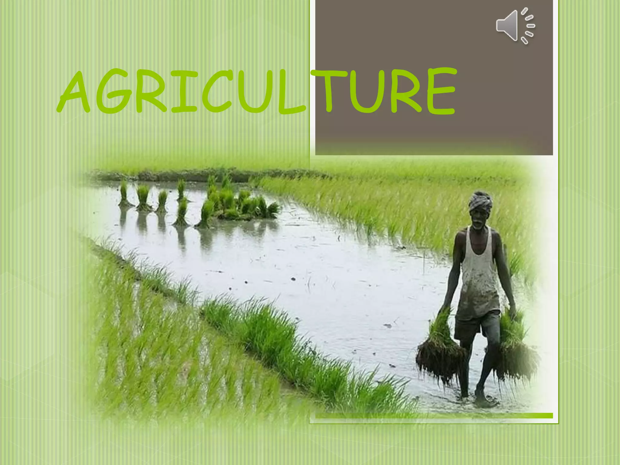 Animatedagriculture | PPT