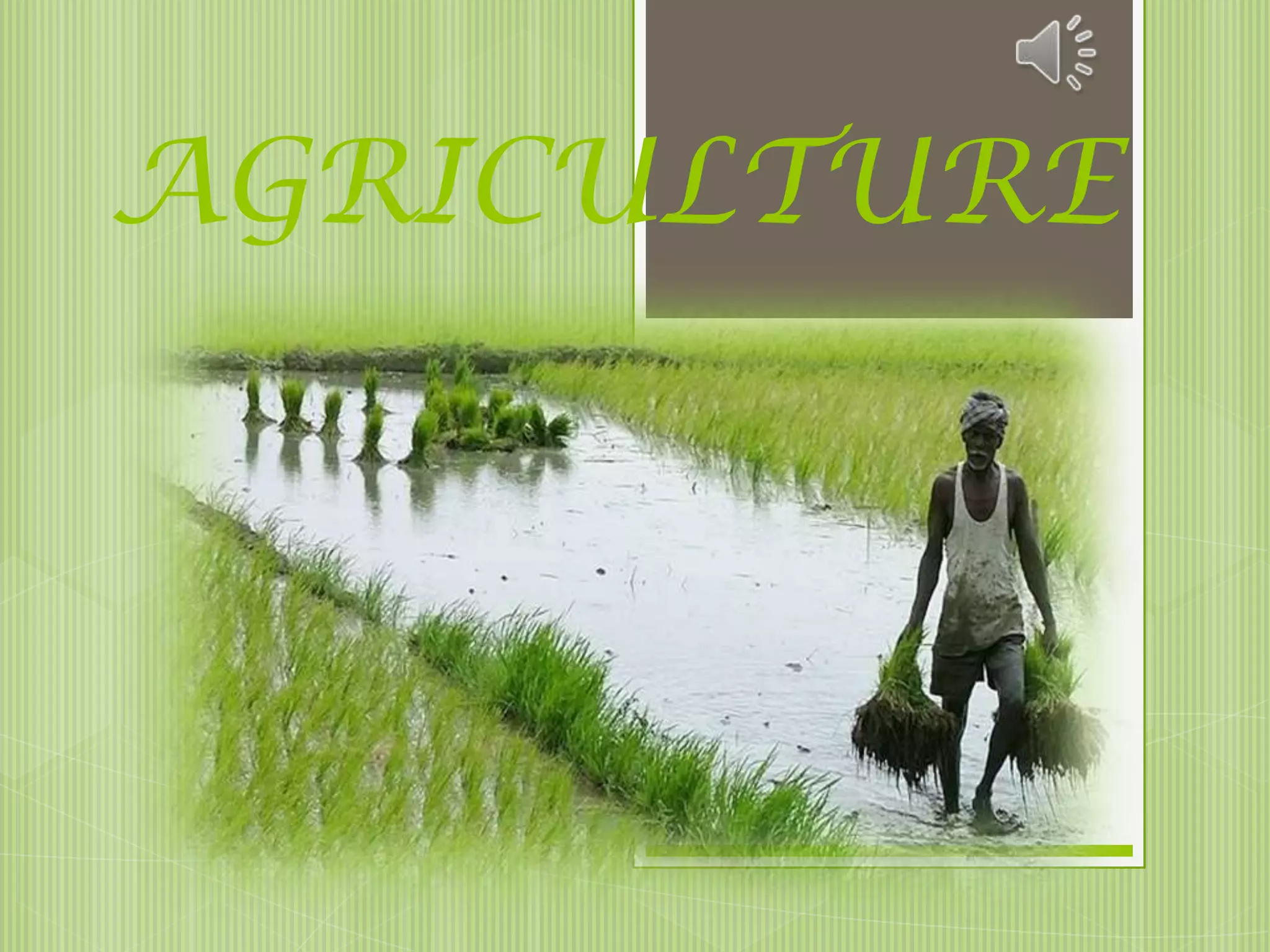 agriculture ppt | PPT