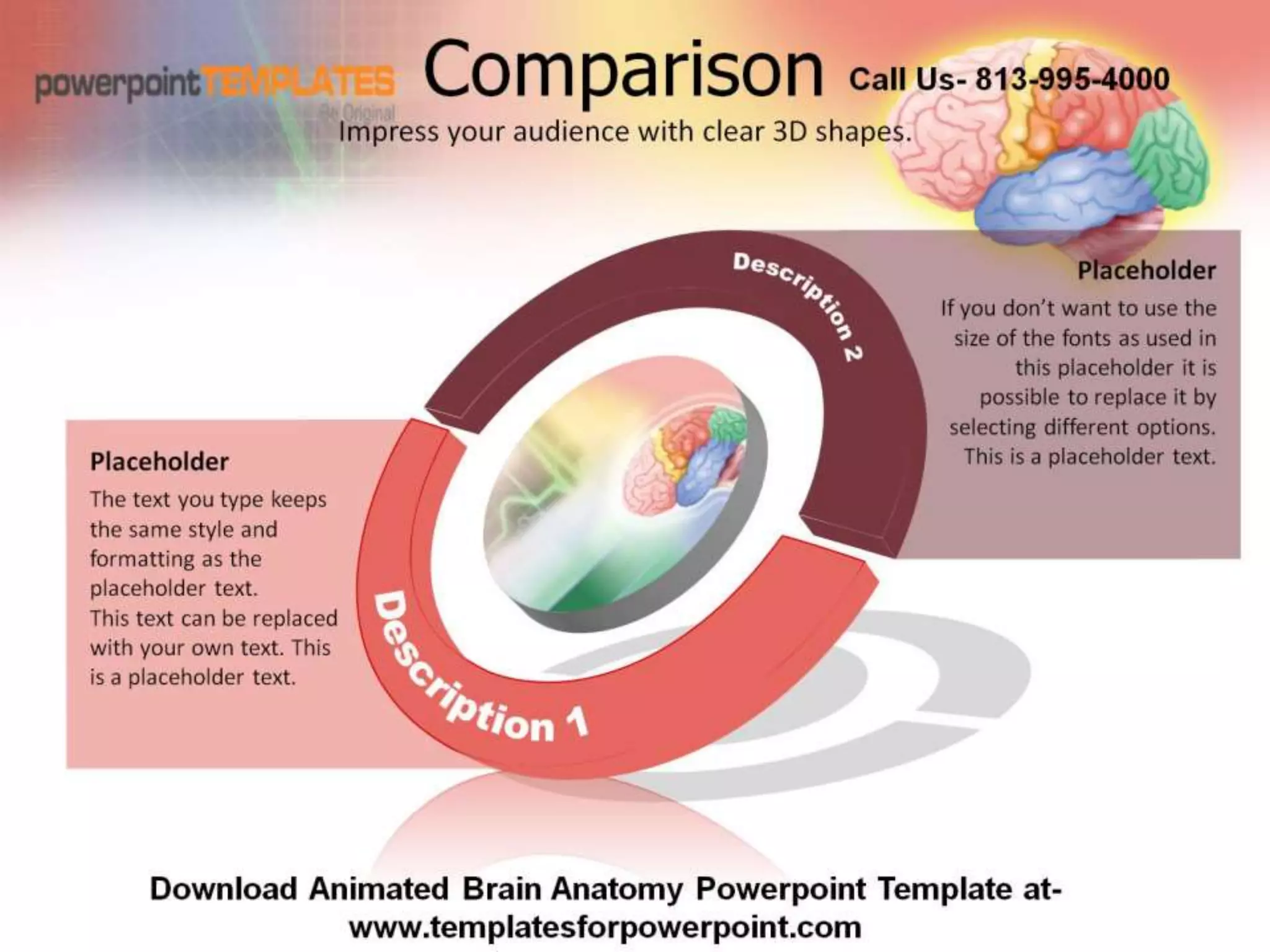 Animated brain anatomy powerpoint template | PPTX
