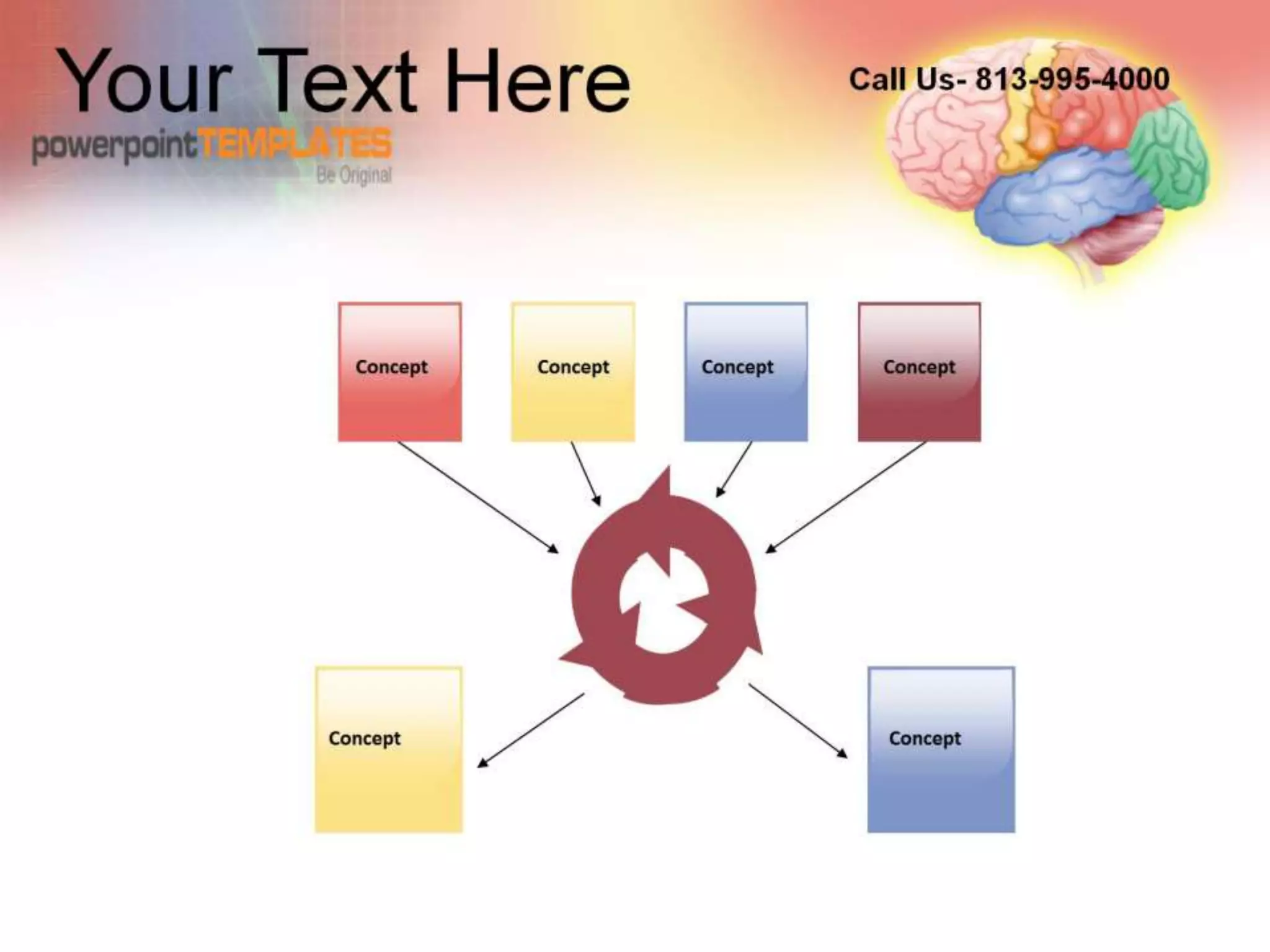 Animated brain anatomy powerpoint template | PPTX