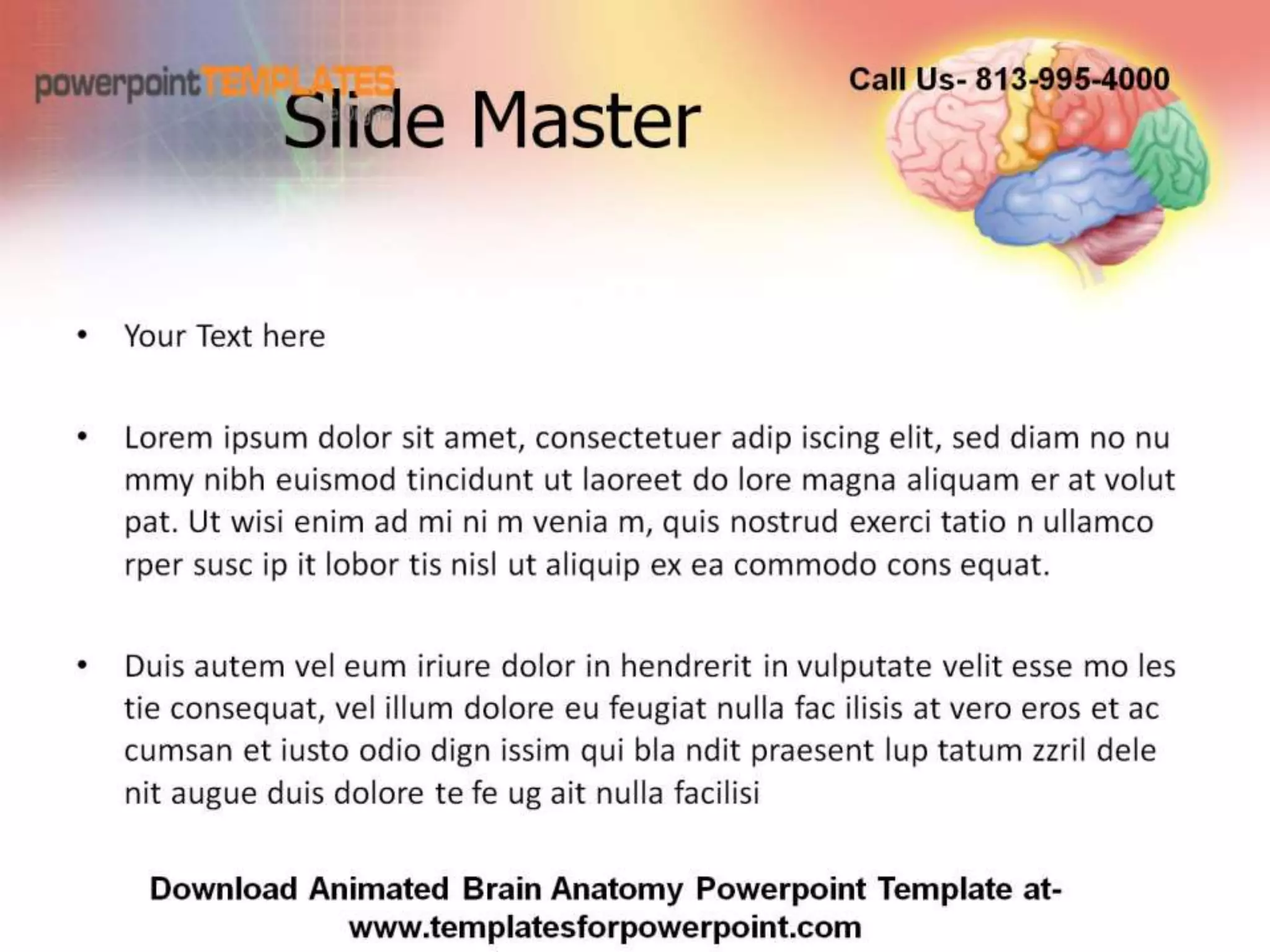 Animated brain anatomy powerpoint template | PPTX
