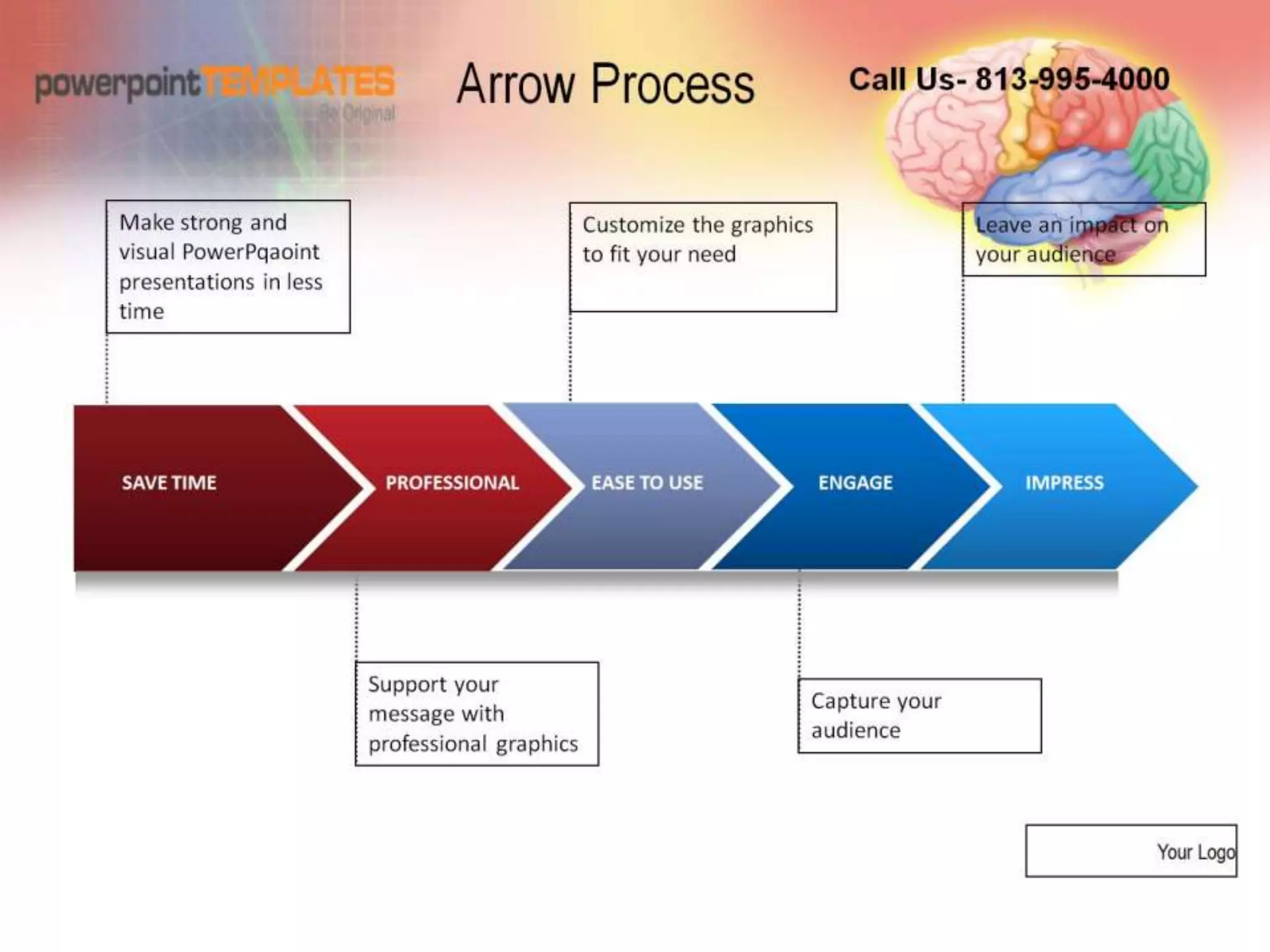 Animated brain anatomy powerpoint template | PPTX