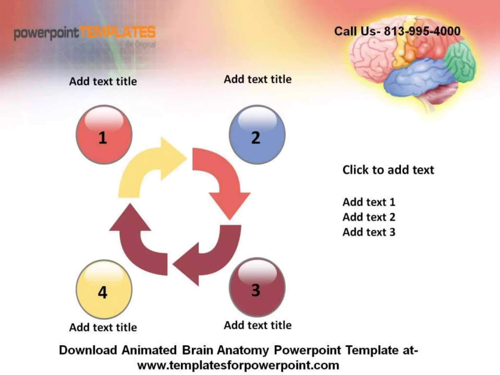 Animated brain anatomy powerpoint template | PPTX