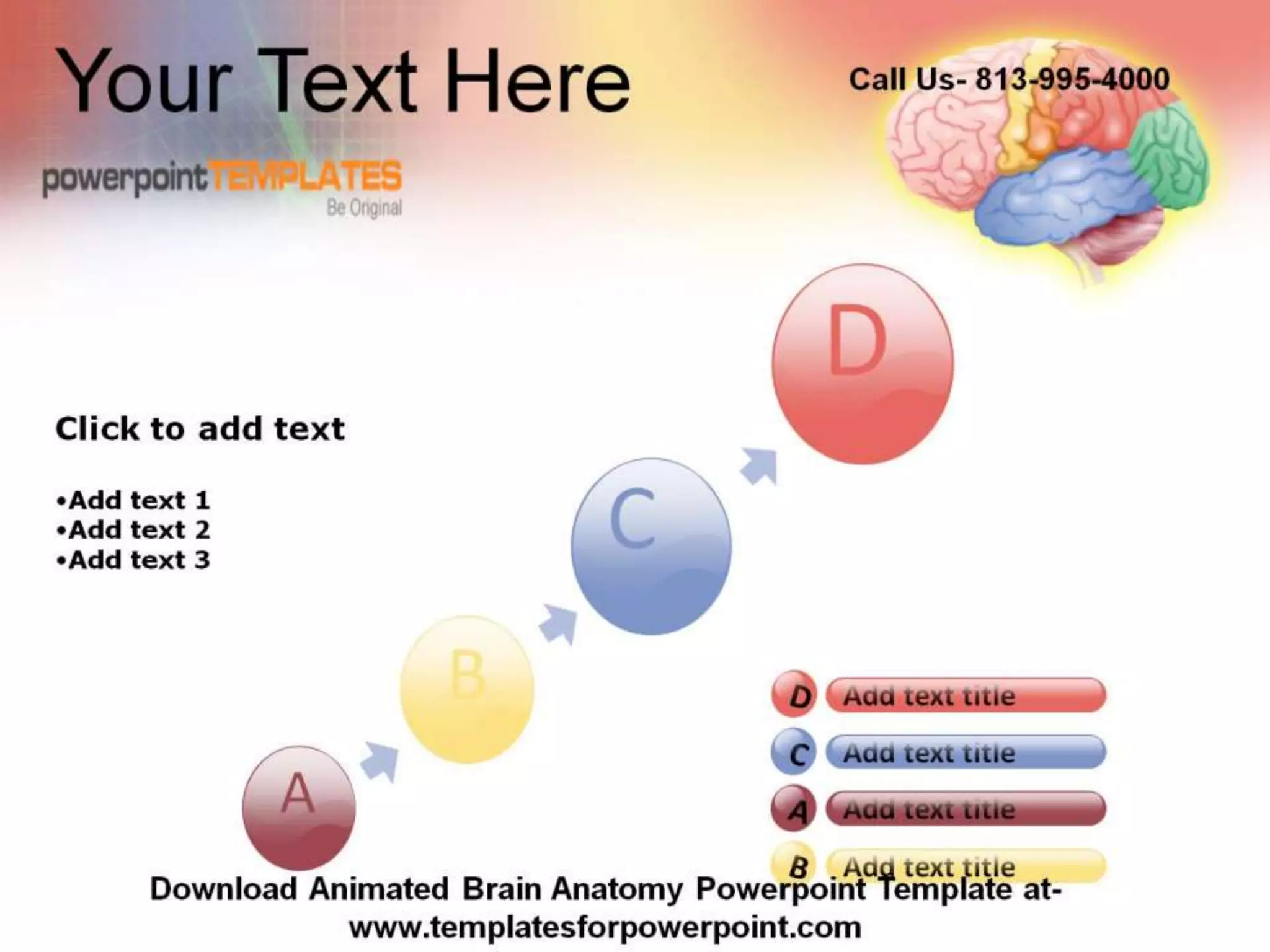 Animated brain anatomy powerpoint template | PPTX