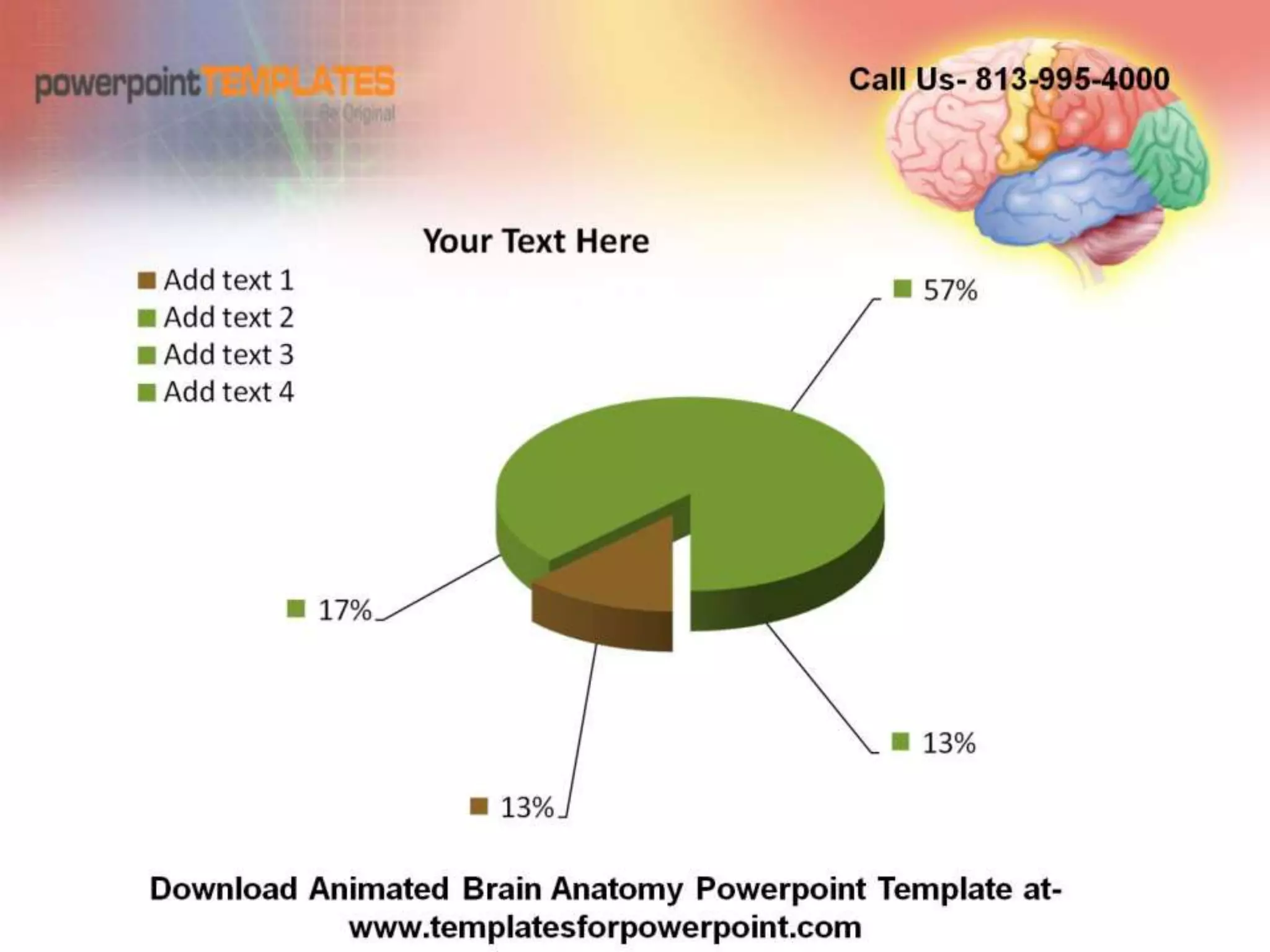 Animated brain anatomy powerpoint template | PPTX