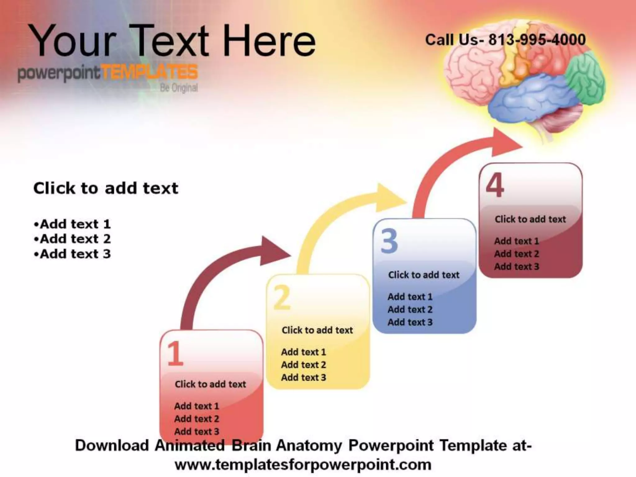 Animated brain anatomy powerpoint template | PPTX