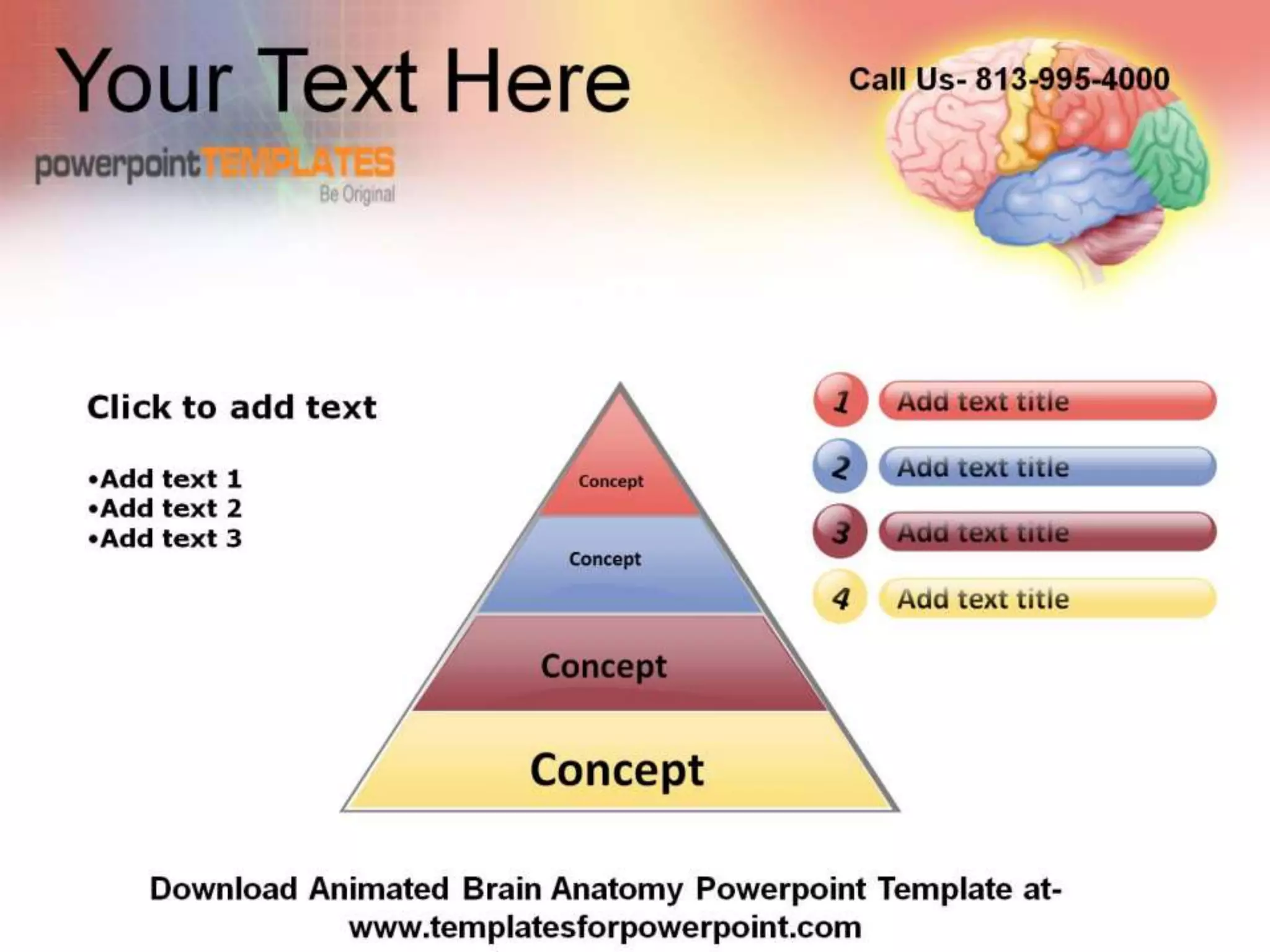 Animated brain anatomy powerpoint template | PPTX