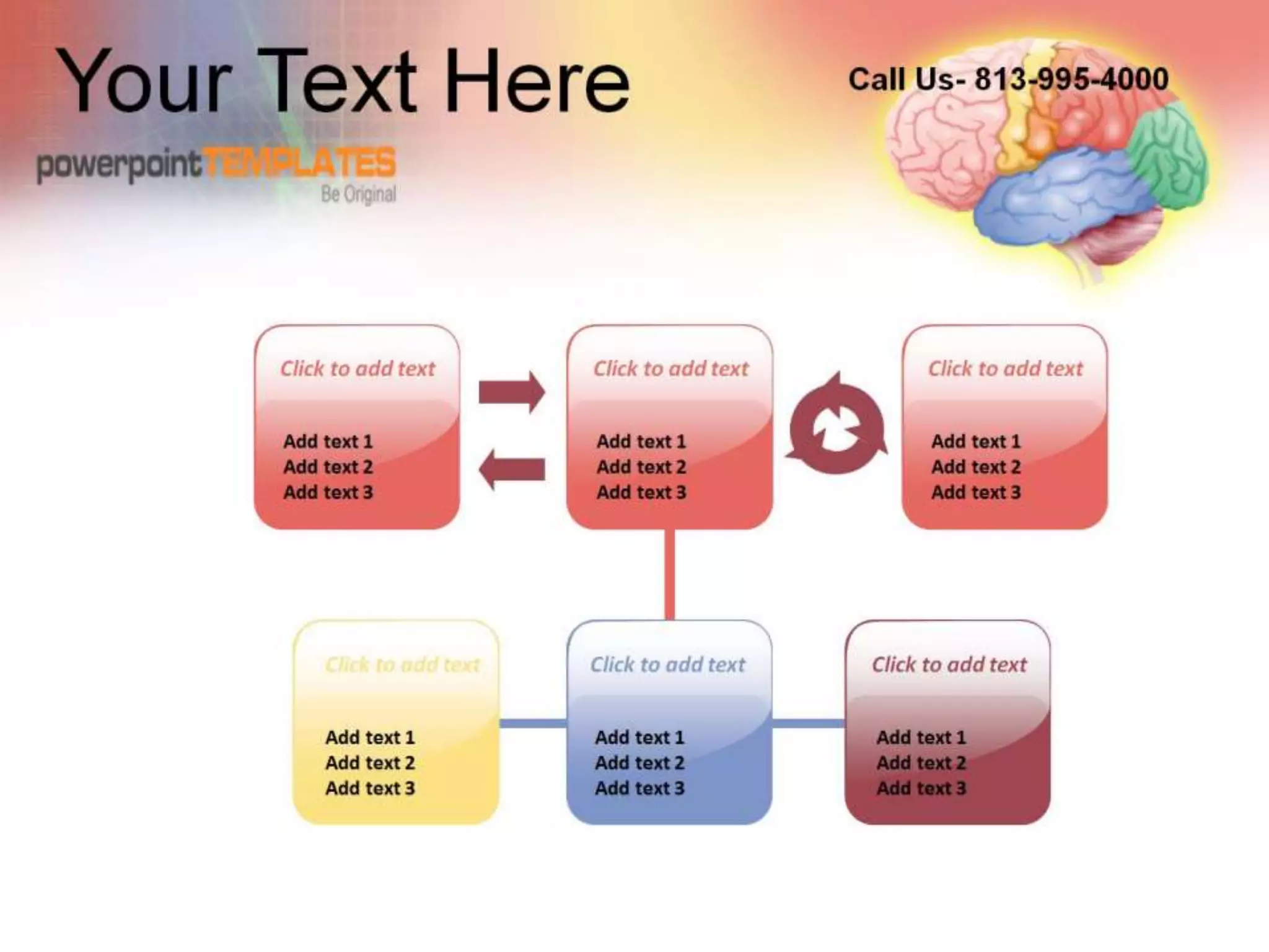 Animated brain anatomy powerpoint template | PPTX
